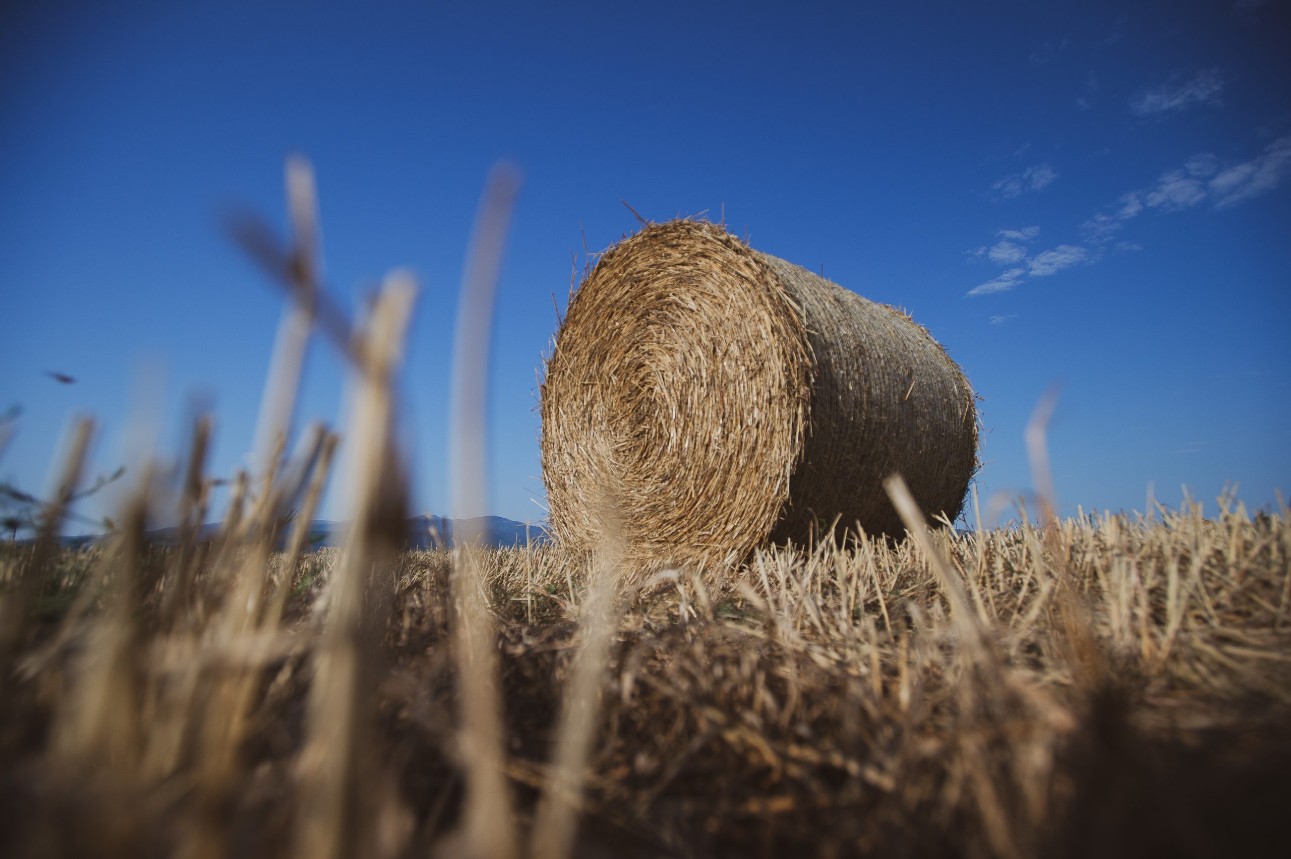 About farmB – FarmB