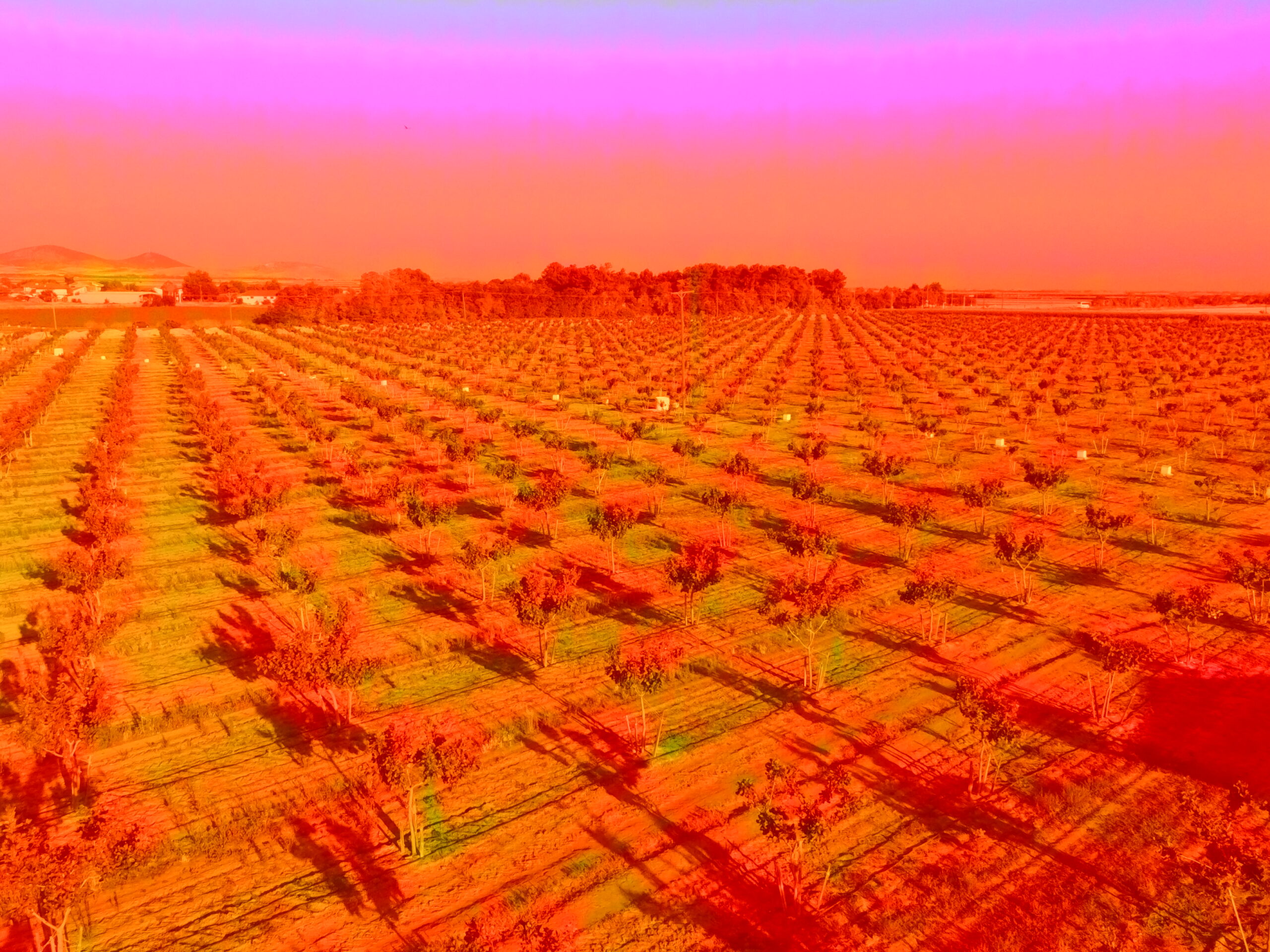 Tree canopy detection – FarmB