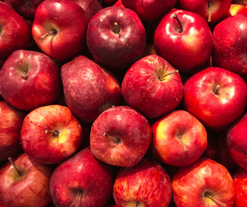 Agrocares Nutrient Scanner – FarmB