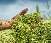 Agrocares Nutrient Scanner – FarmB