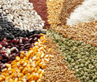 Agrocares Nutrient Scanner – FarmB